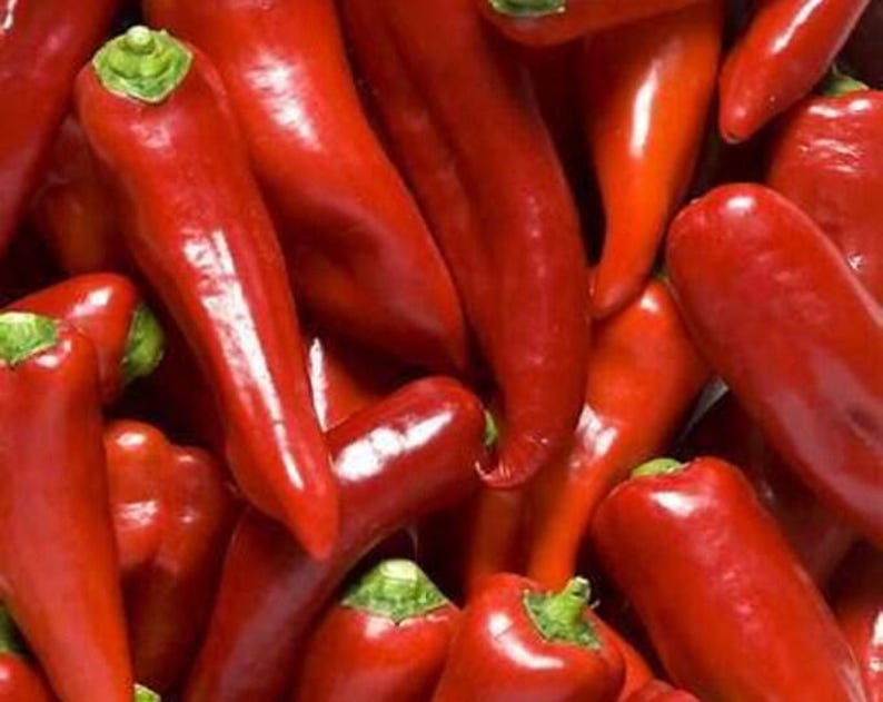 Mirasol Mosco Pueblo Chile Pepper Seeds: Rare Colorado Heirloom - Etsy