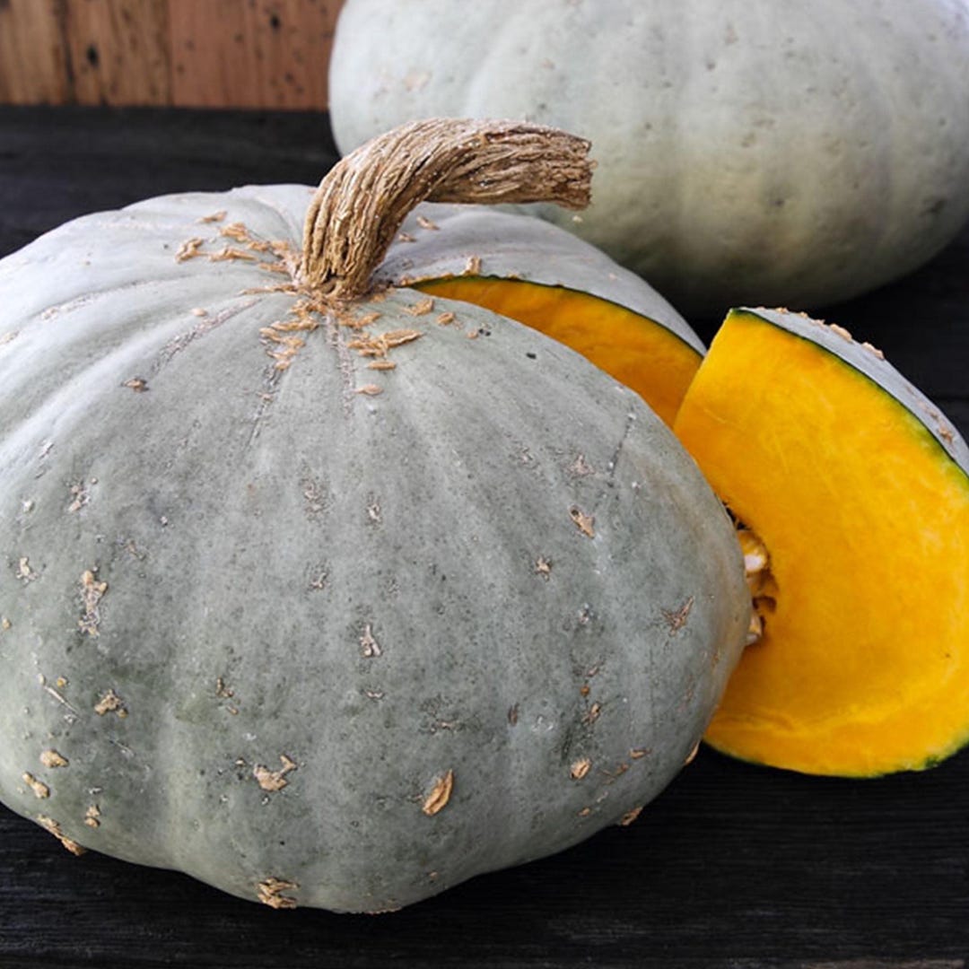 Sweet Meat, Winter Squash, Heirloom Garden Seeds Open Pollinated ...