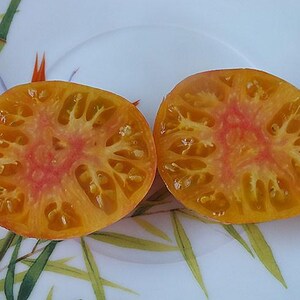 20+ Dwarf Confetti, Dwarf Tomato, Heirloom Garden Seeds Open Pollinated ...