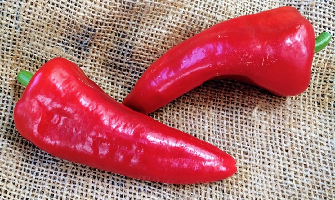 Beaver Dam Pepper Seeds: Mild Hot, Hungarian Heirloom, Non-gmo - Etsy