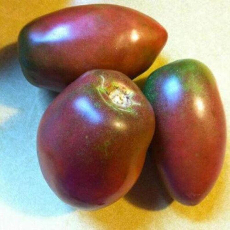 Ukrainian Purple Tomato Seeds, Heirloom Paste Variety, Non-gmo - Etsy