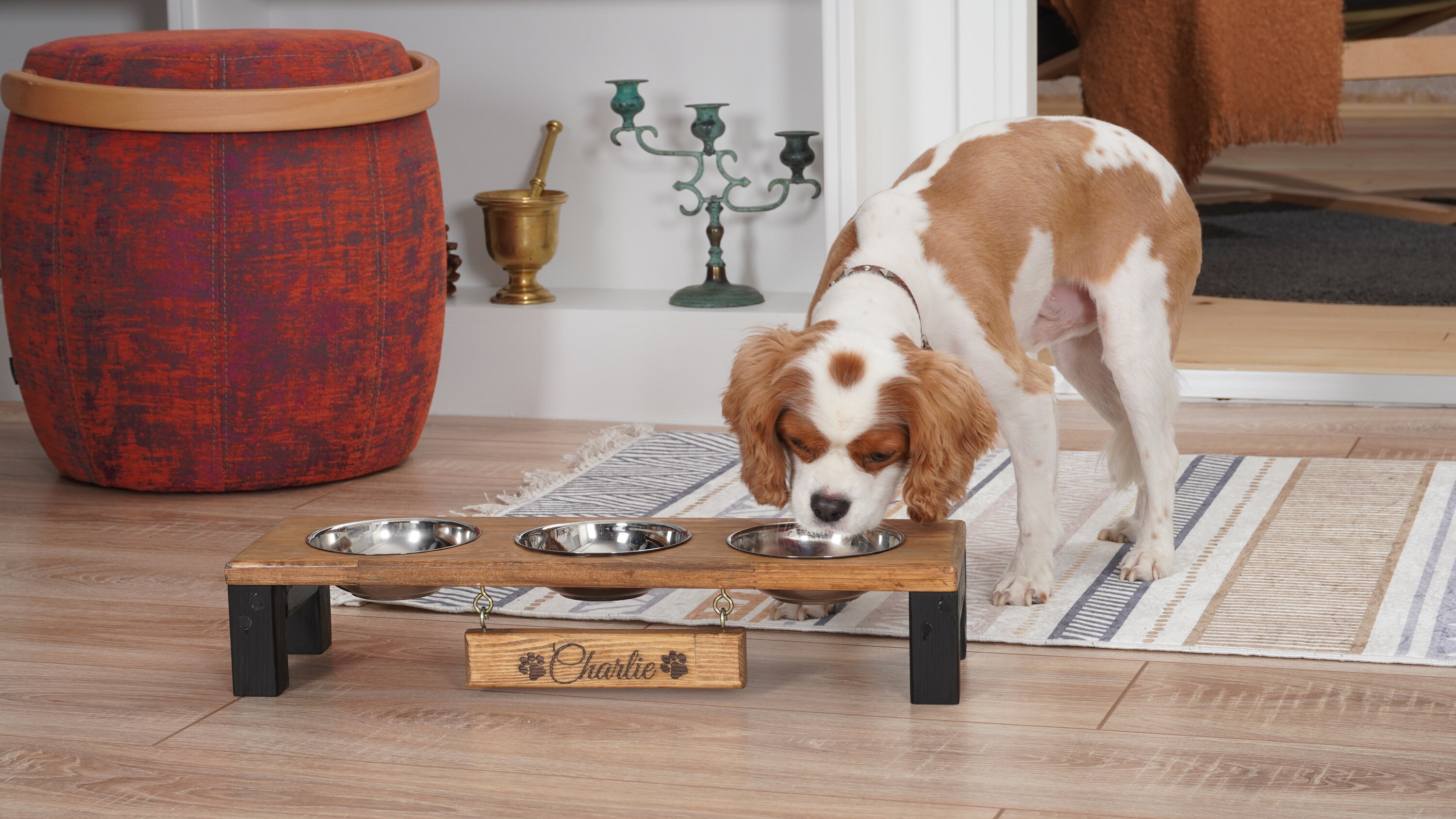 Personalized Bowl, 3 Bowl Dog Feeding Station, Cat Bowl Stand, Raised ...