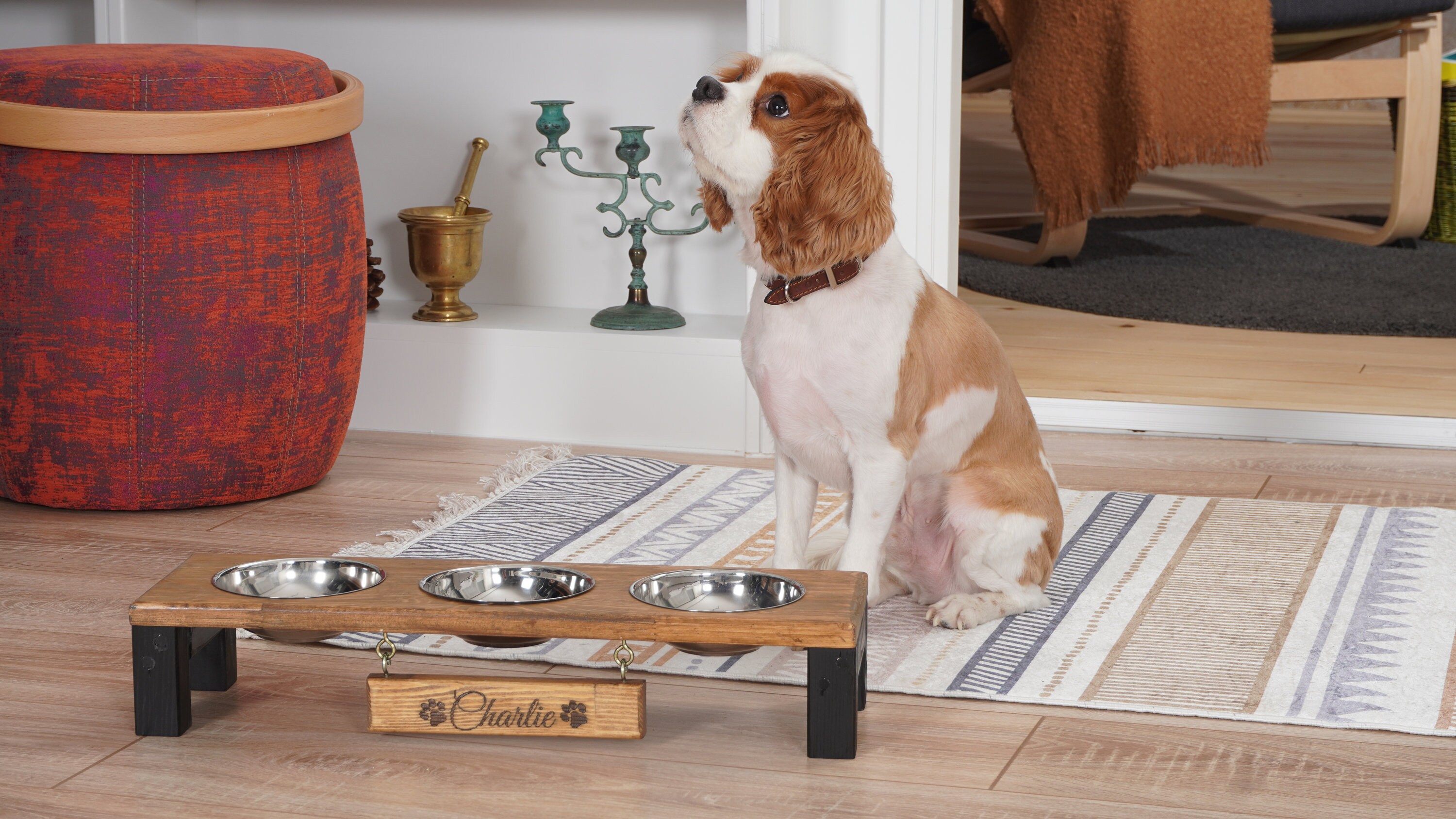 Personalized Bowl, 3 Bowl Dog Feeding Station, Cat Bowl Stand, Raised ...