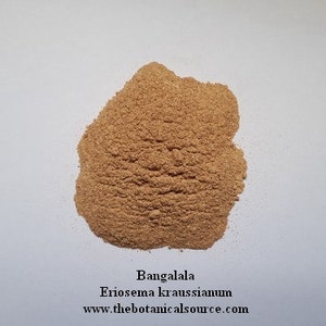 Bangalala Eriosema Kraussianum Organic Root Powder - Etsy