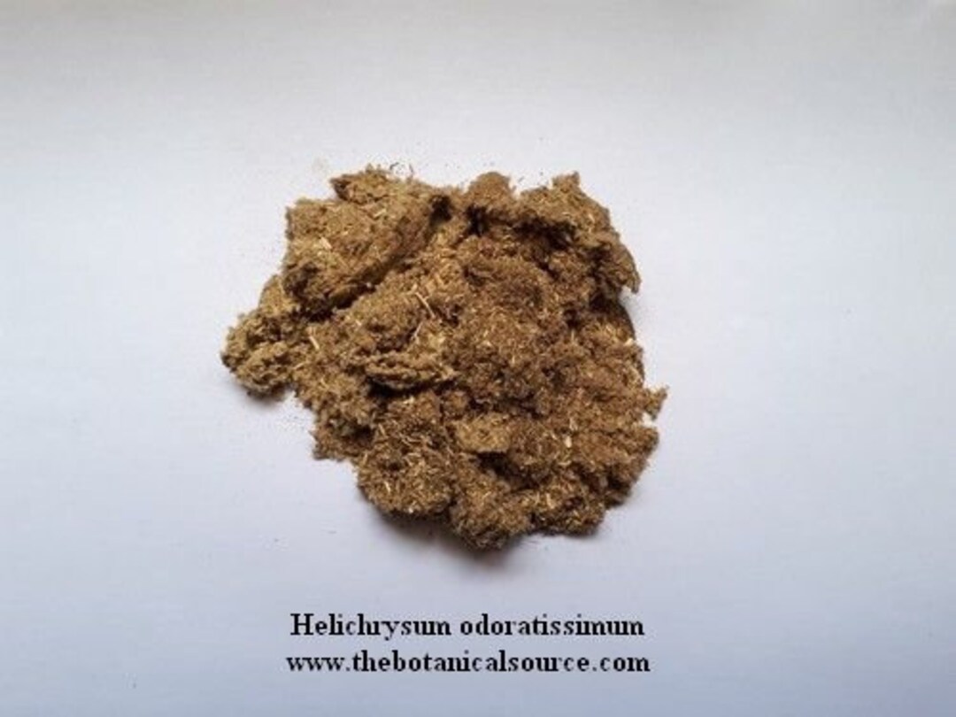 Imphepho Helichrysum Odoratissimum - Etsy