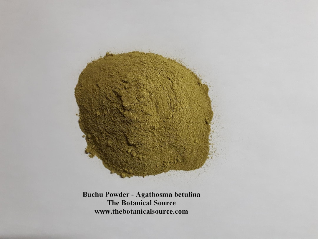 Buchu - Organic Herb Powder! - Etsy