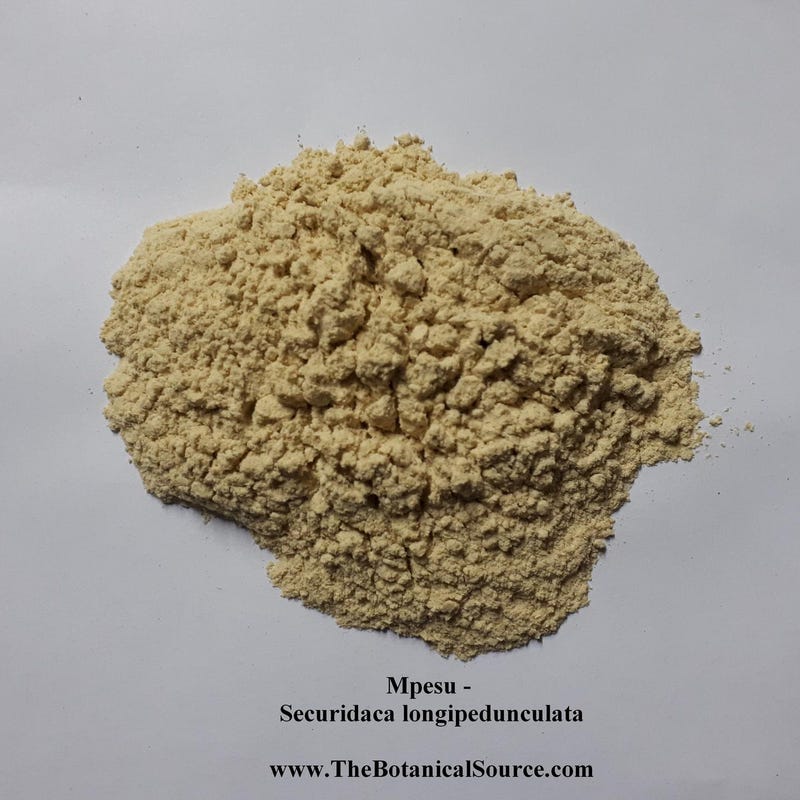 Natural Curios Pack - Etsy