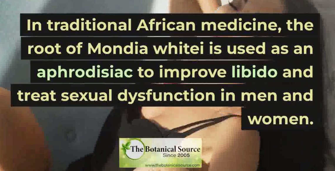 Mondia Whitei Also Known as Entengo / Mulondo - Etsy