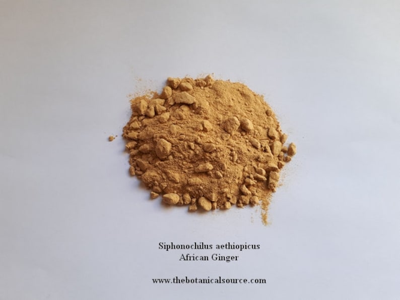 African Ginger Siphonochilus Aethiopicus - Etsy