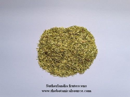 Sutherlandia Frutescens Organic Herb - Etsy