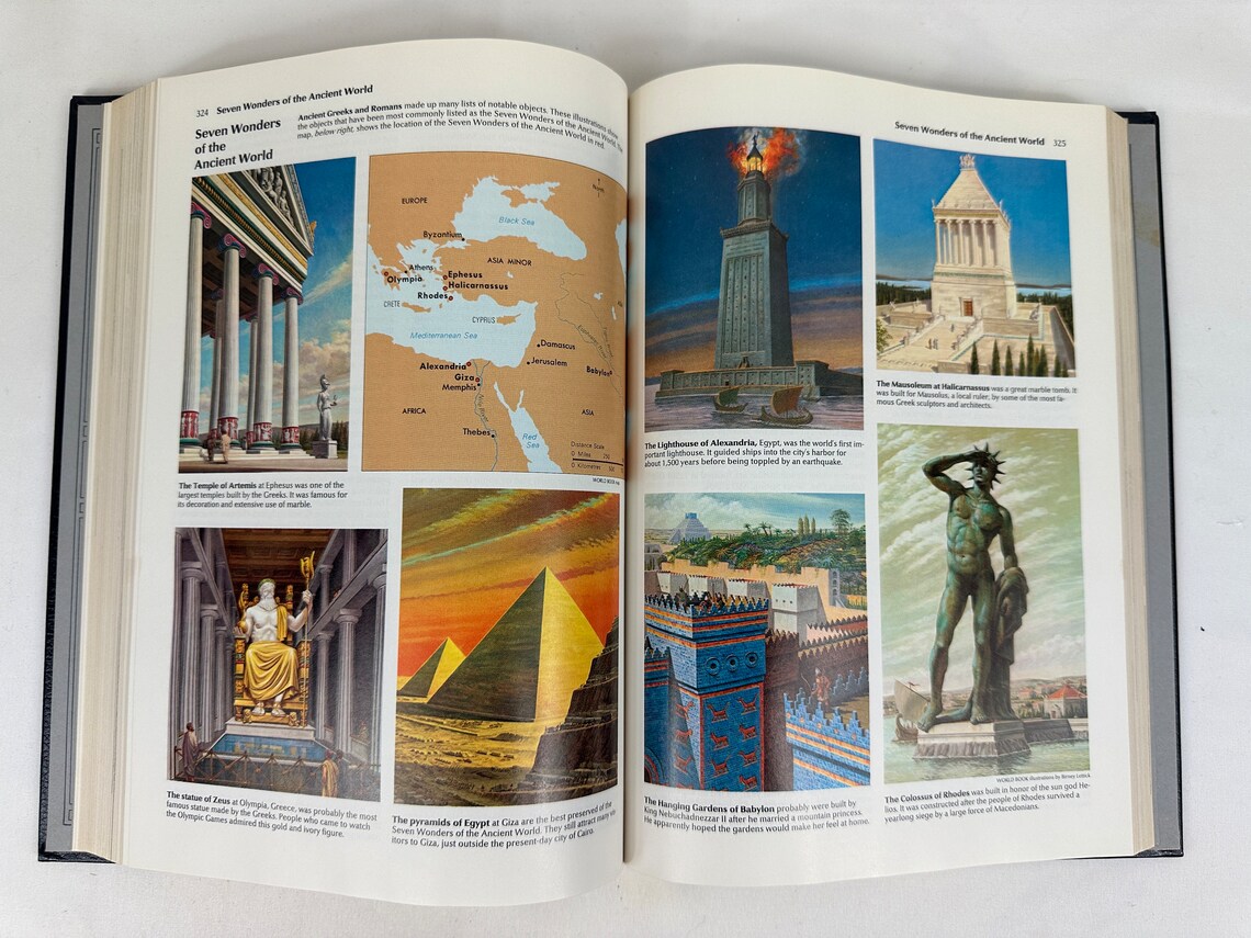 1991 the World Book Encyclopedia Volume 17: S-sn Embossed Blue & Gilt ...