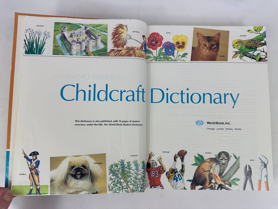 The Childcraft Dictionary 1991 World Book Inc Vintage Hardcover ...