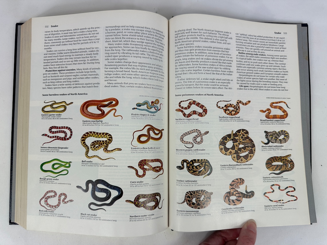 1991 the World Book Encyclopedia Volume 17: S-sn Embossed Blue & Gilt ...