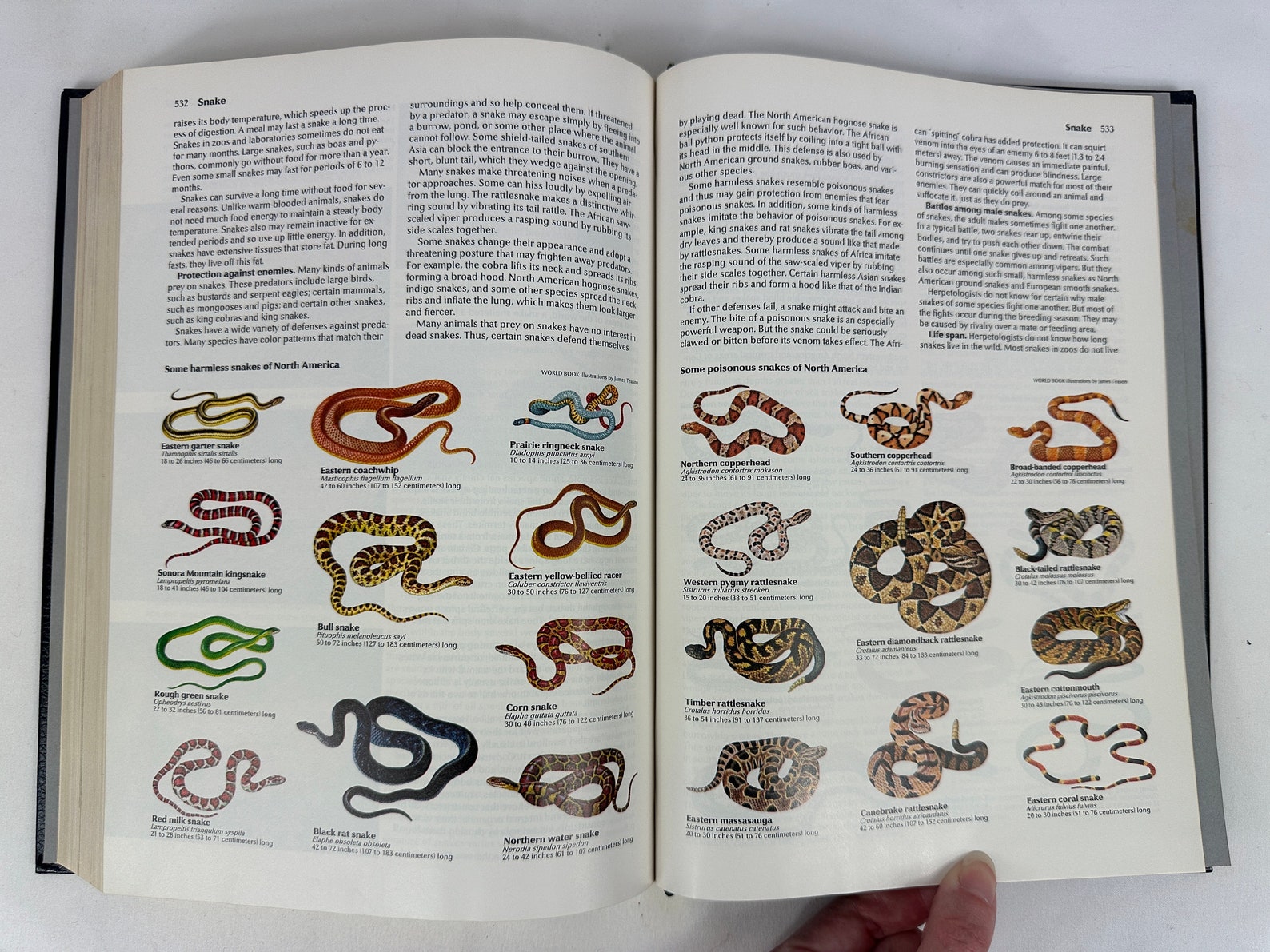 1991 the World Book Encyclopedia Volume 17: S-sn Embossed Blue & Gilt ...