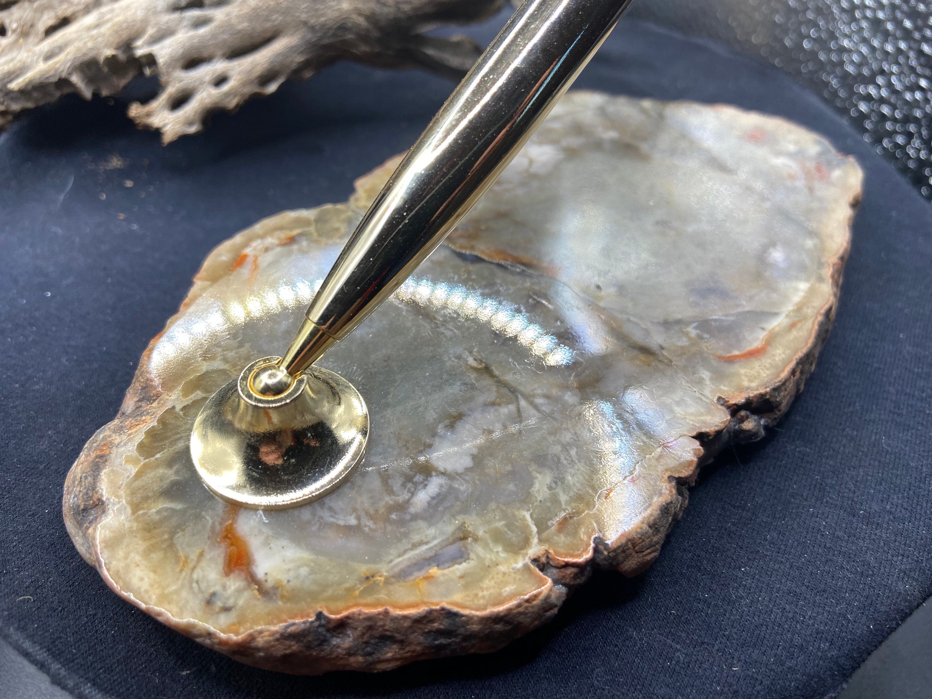 Dinosaur Dung Executive Desk Pen Holder, Coprolite Gemstone Executive ...