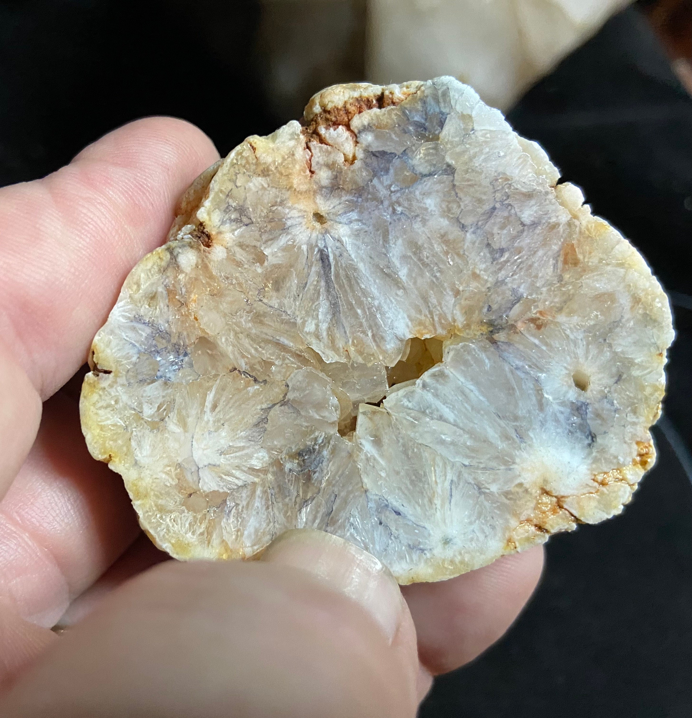 Brain Geodes Cut in Half - Etsy