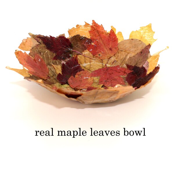 Real Maple Leaf - Etsy
