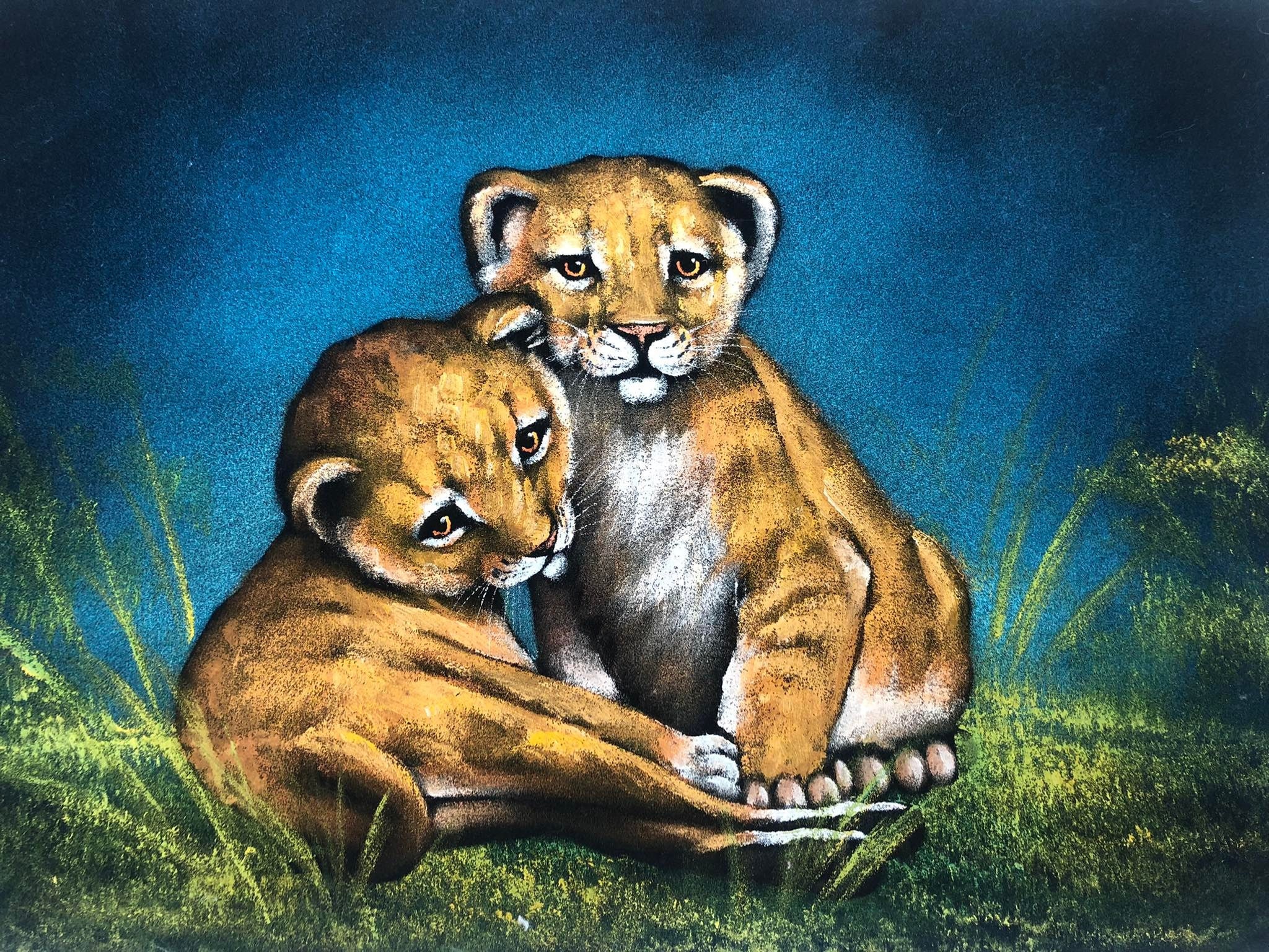 Black Puma Cubs