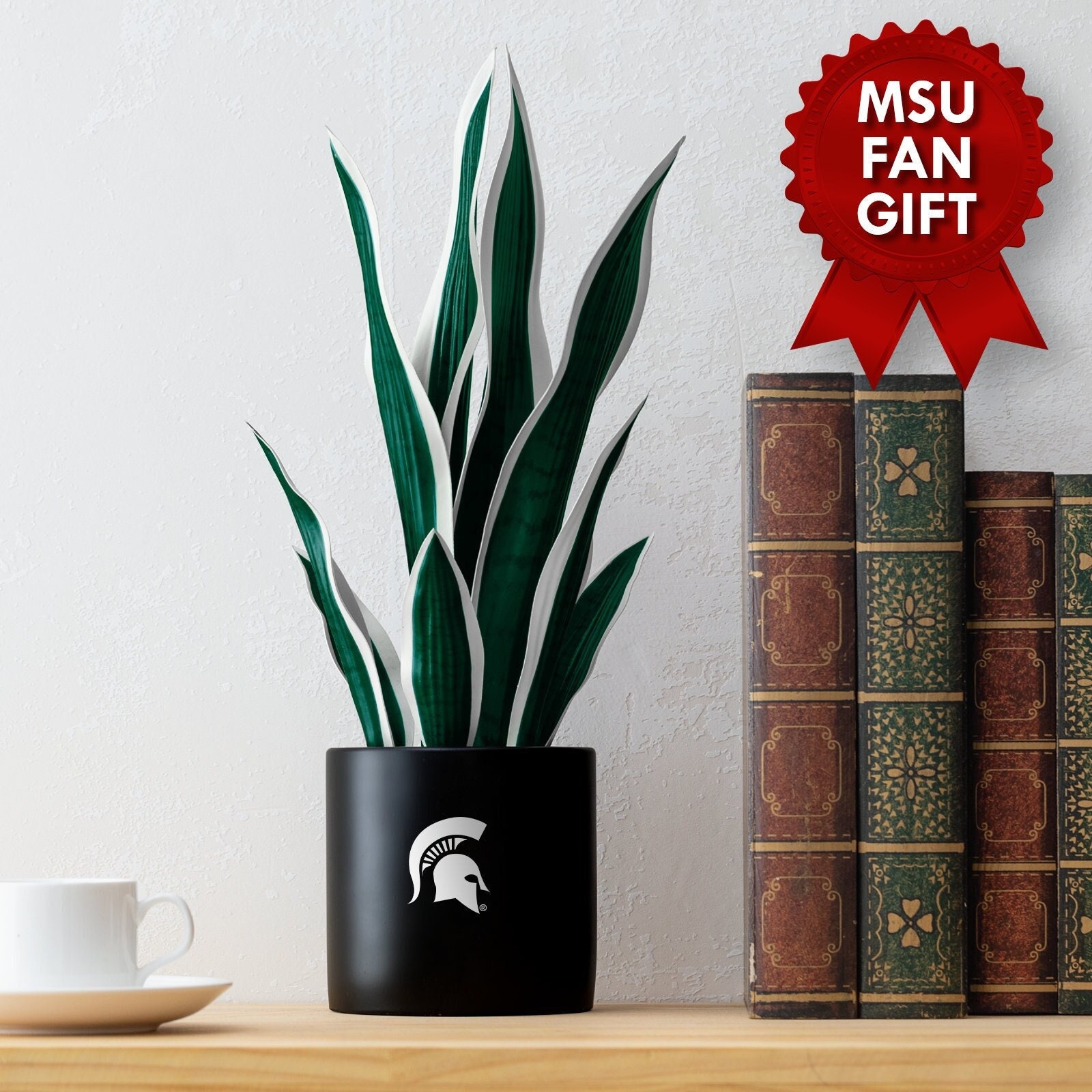 MSU Spartan Snake Plant - Snake Plant - MSU Spartan Gifts for Men, MSU ...