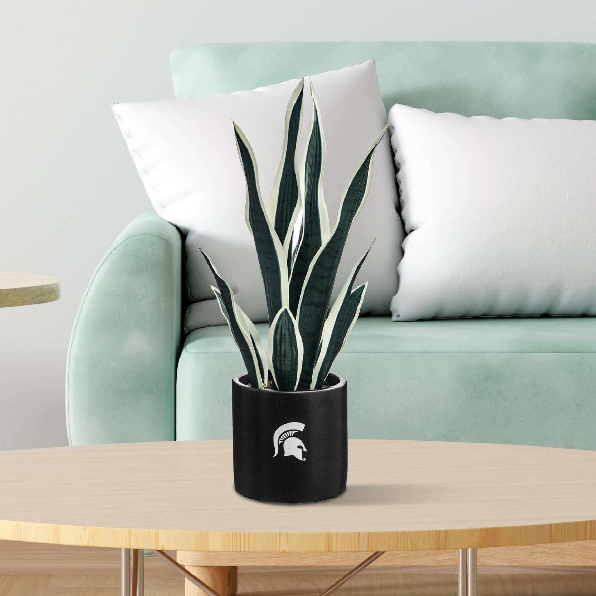 MSU Spartan Snake Plant - Snake Plant - MSU Spartan Gifts for Men, MSU ...