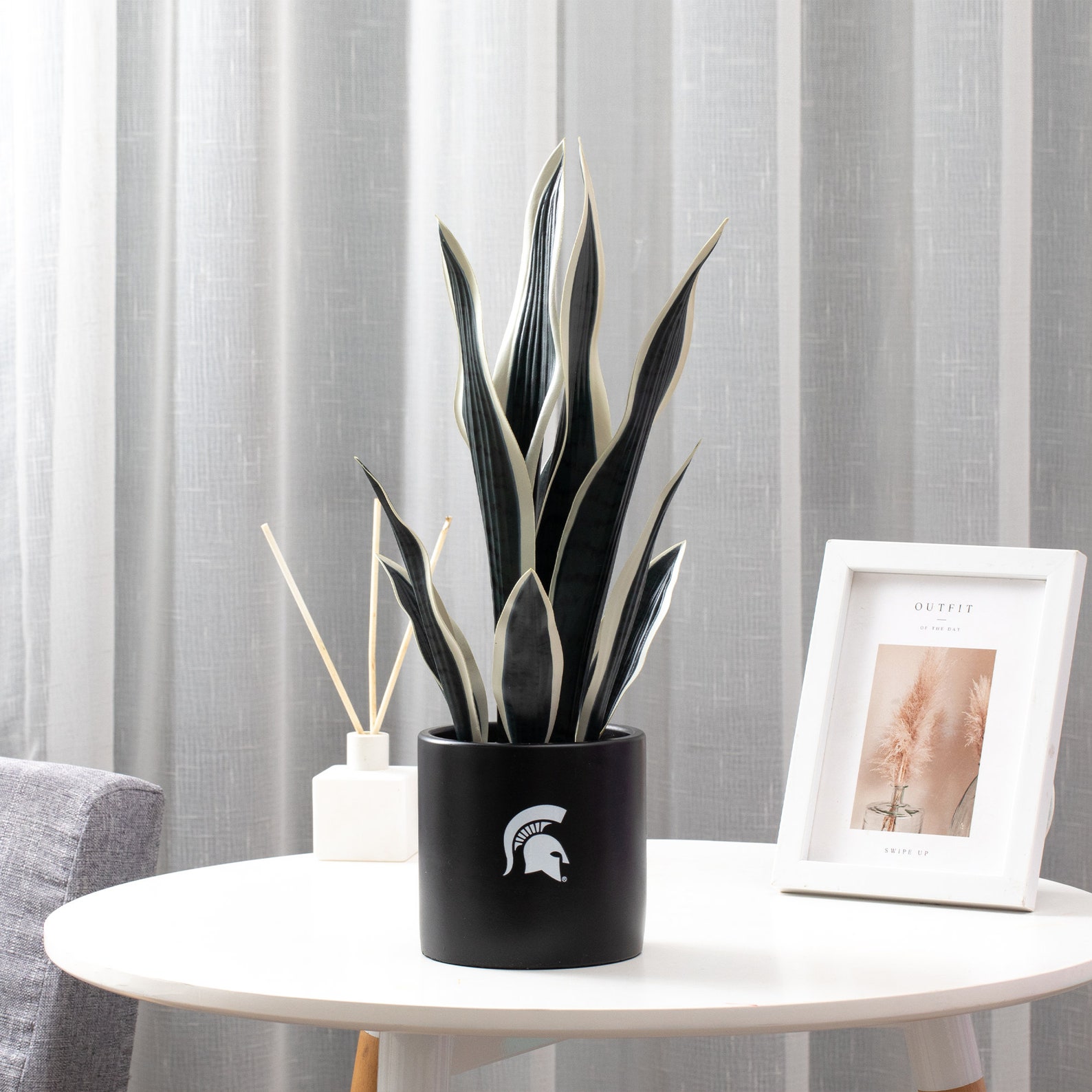 MSU Spartan Snake Plant - Snake Plant - MSU Spartan Gifts for Men, MSU ...