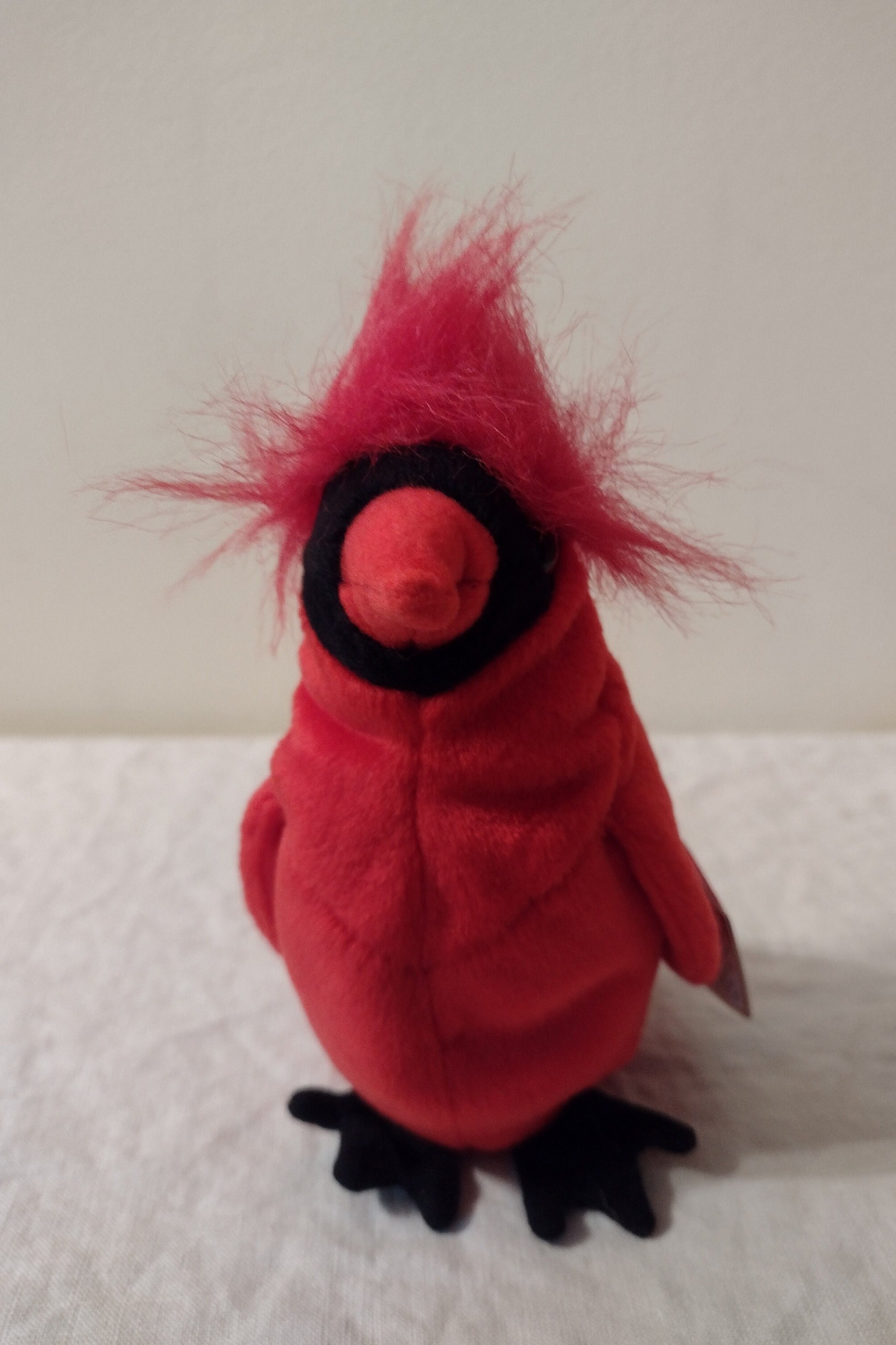 Vintage TY MAC the Cardinal. Beanie Babies Collection 1998-1999. Rare ...