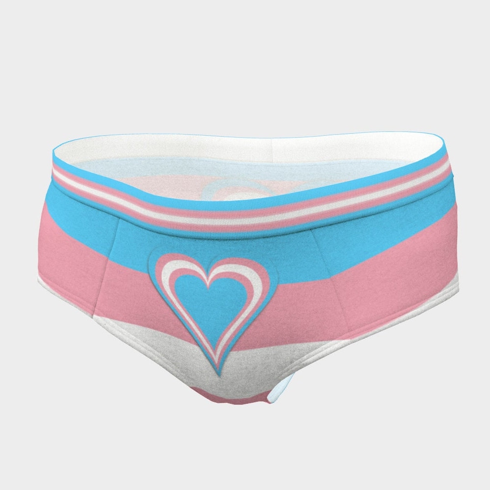 Womens Cheeky Briefs Transgender Flag and Heart, LGBTQ Pride Knickers ...