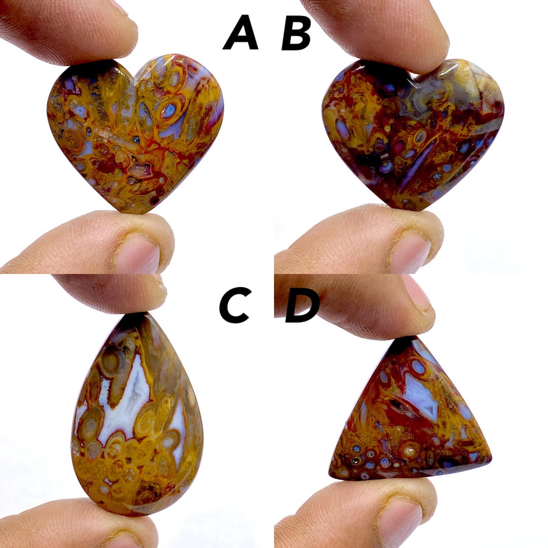 Red Petrified Palm Wood Cabochon - Indonesian Petrified Palm Root ...