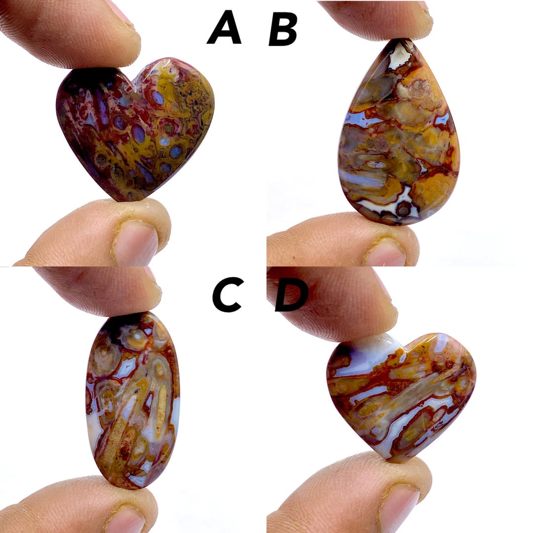 Red Petrified Palm Wood Cabochon – Agatized Fossil Gemstone - Etsy