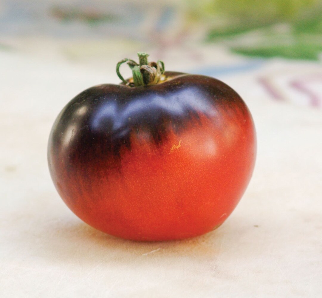 Indigo Apple Tomato Seeds - Etsy