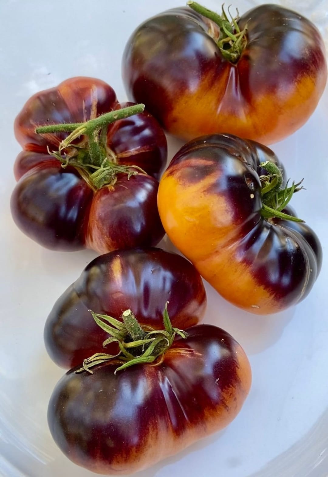 Thunder Mountain Tomato (rare) Seeds - Etsy