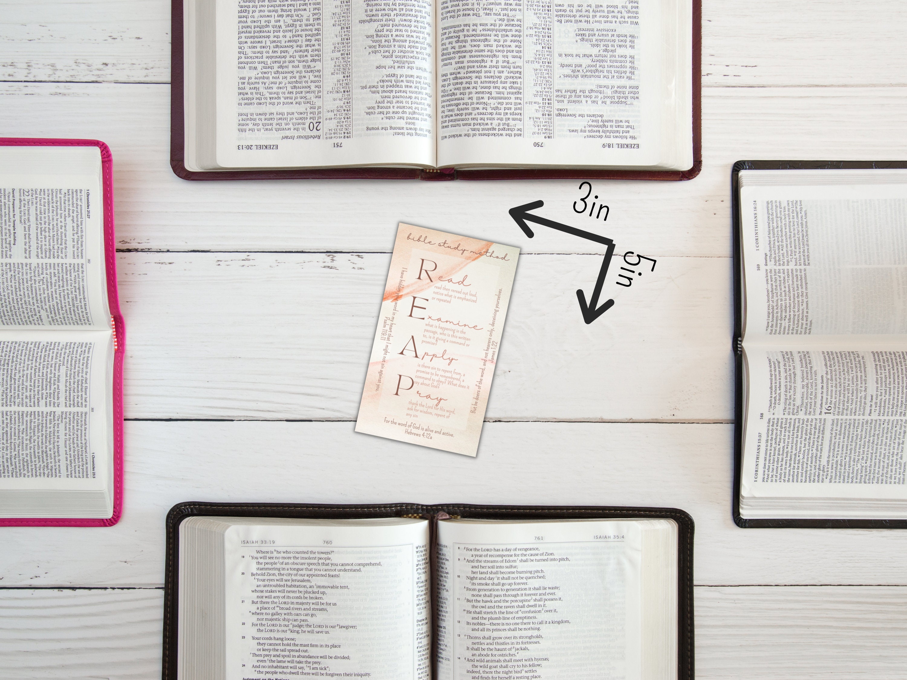 Bible Study Method, Christian Study Tools, Reap Bible Study Tools ...