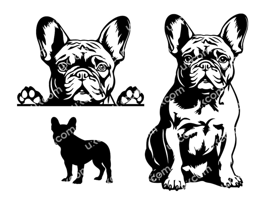 French Bulldog Peeking Dog Frenchie Commercial Cute French Bulldog Mom ...
