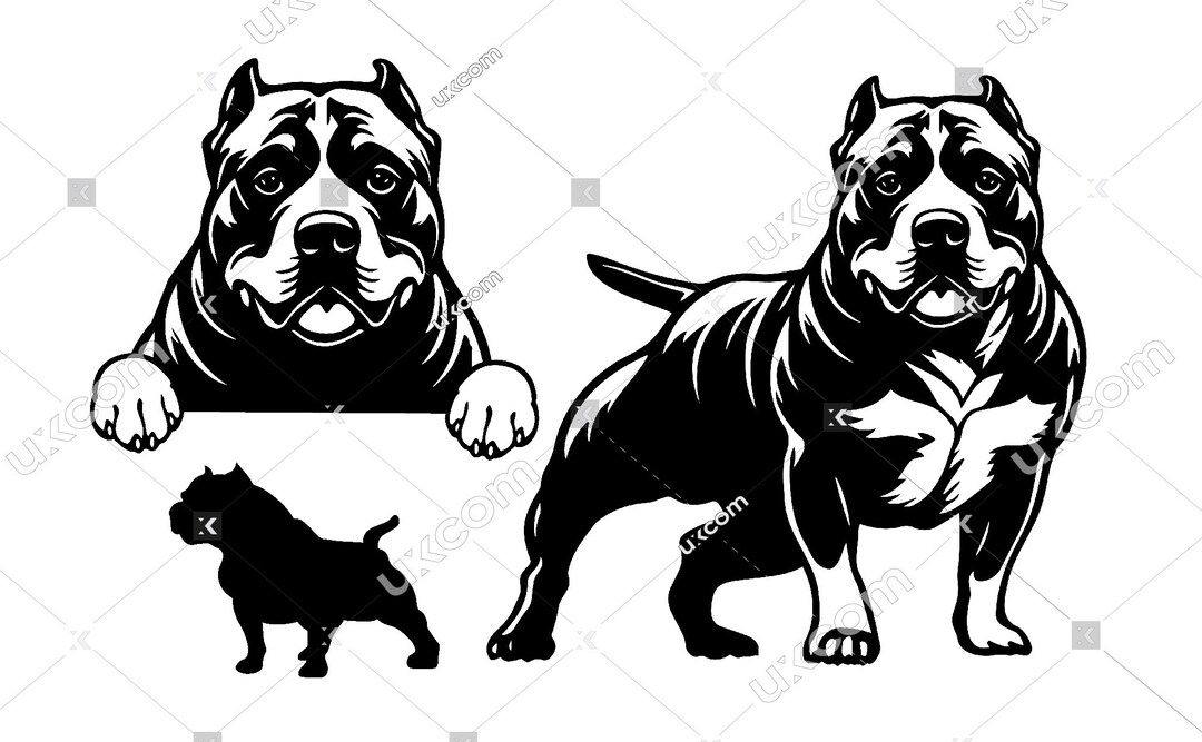 American Bully Peeking Dog 3 Commercial Bundle Set Pedigree Happy Bully ...