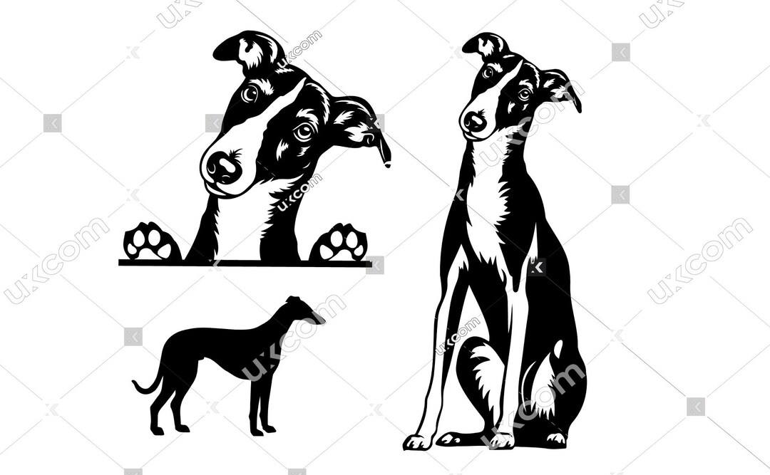 Greyhound Svg Set 3 Greyhound Peeking Dog Commercial Bundle Greyhound ...