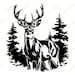 Deer in Woods Svg Cut File Cricut Deer Animals Cute Deer Daniel Tshirt ...