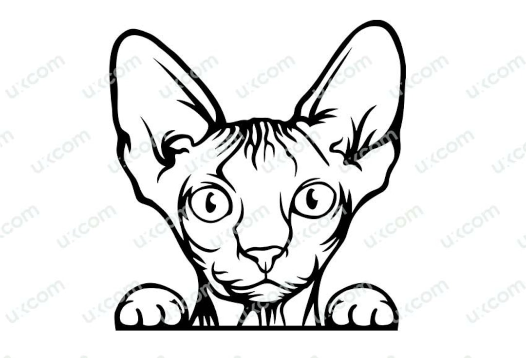 Sphynx Cat Svg Peeking Paws Commercial Egyptian Cute Puppy Hairless Pet ...