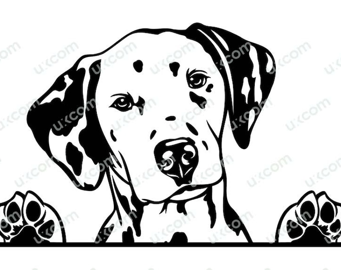 Dalmatian SVG, Doggo Svg, Dalmatian Dxf, Clipart, Stencil Svg, Puppy ...