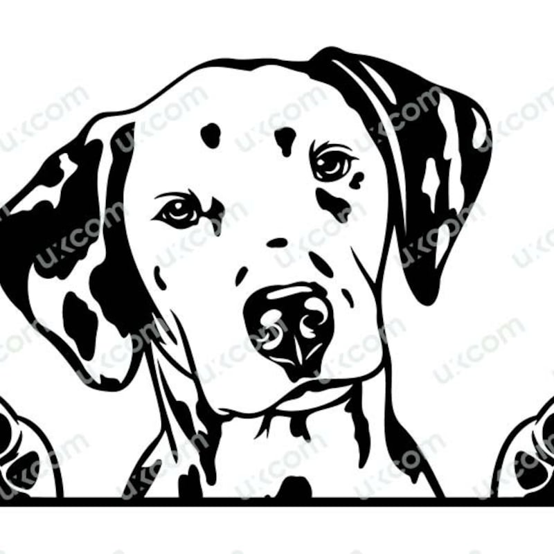 Dalmation Dog Logos - Etsy