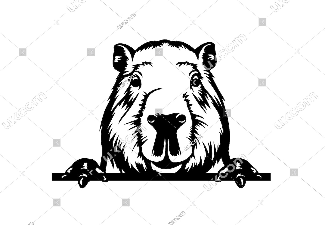 Capybara Svg Peeking Capybara Cricut Capybara Cut File Commercial CNC ...