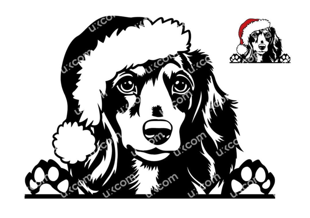 Dachshund Loghaired Svg Christmas Peeking Dachshund Santa Hat Doxie ...