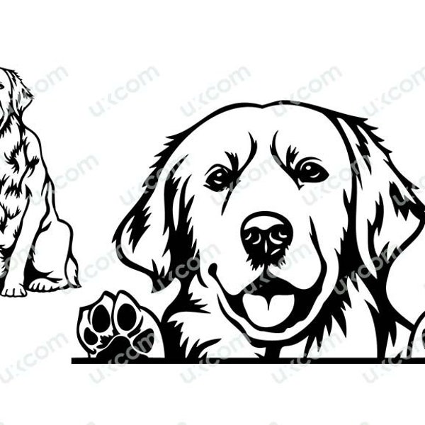 Peeking Lab Svg - Etsy