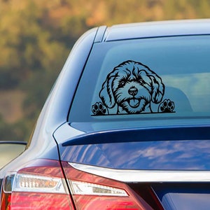 Cavapoo Peeking Dog Commercial Cavoodle Mom Cute Cavapoo SVG PNG EPS ...