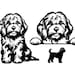 Cavapoo Peeking Svg Set 3 Cute Cavoodle Dog Doodle Mom Commercial Beed ...