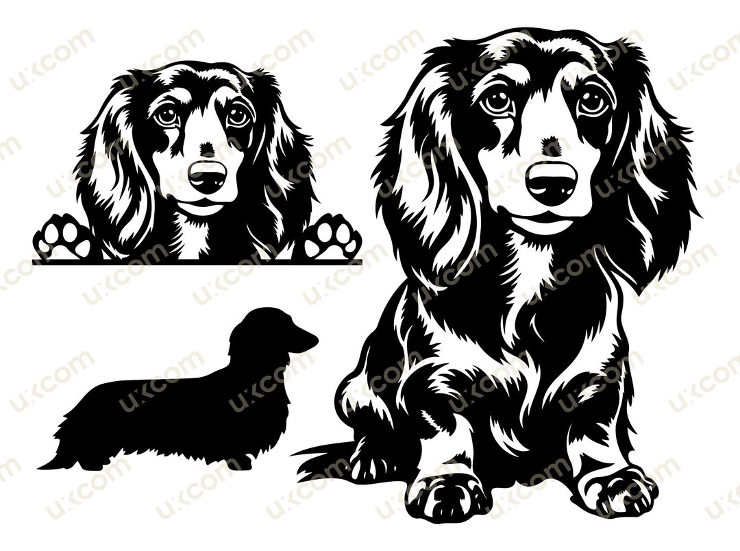 Dachshund Long Haired Bundle Set Peeking Dog Doxie Commercial Breeds ...