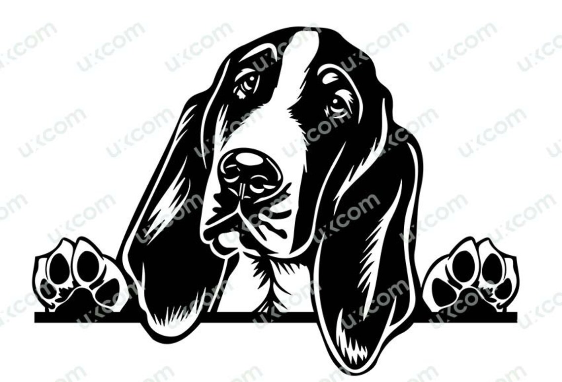 Basset Hound Peeking Dog Basset Svg Cut File Commercial Breed Canine ...