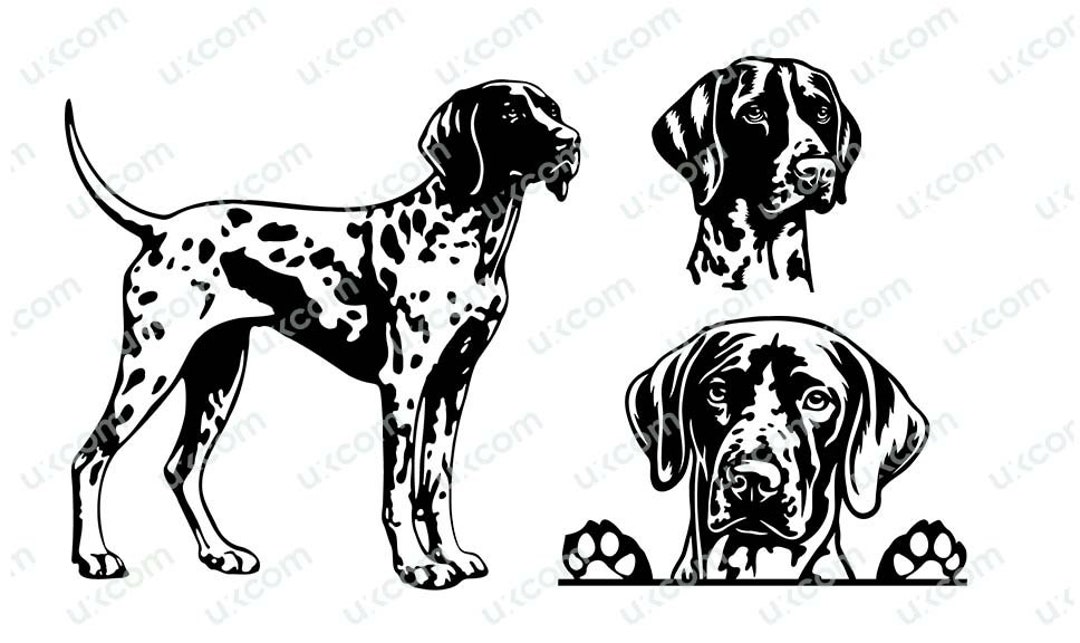 German Shorthaired Pointer SVG Set Pointer Dad Peeking Dog Pointer ...