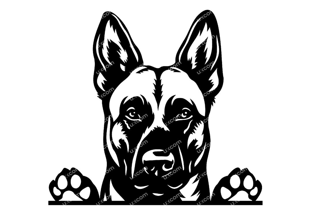 Belgian Malinois Peeking Dog Belgian Malinois Svg Commercial Belgian ...