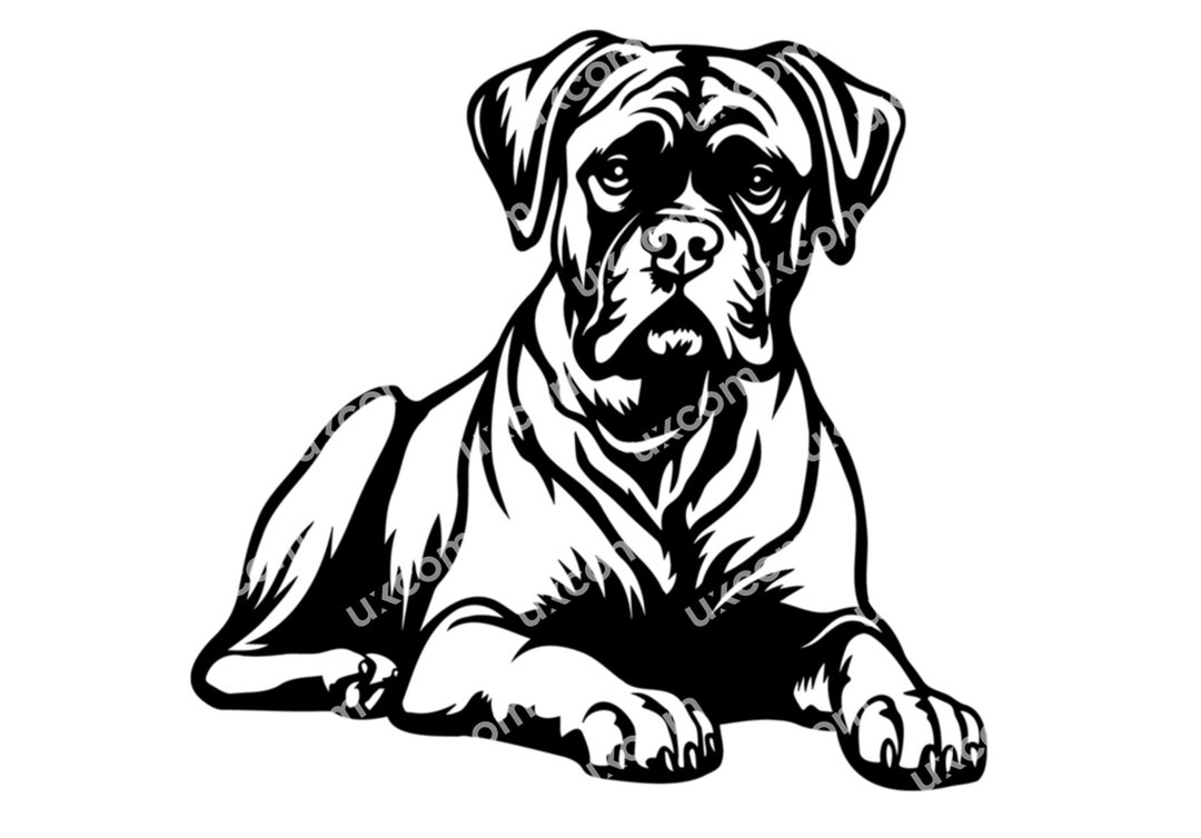 Boxer Lying Svg Happy Boxer SVG Boxer Full Body Boxer Dog Breed ...
