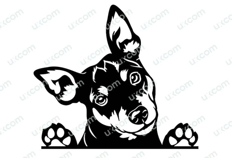 Mini Pinscher Svg Peeking Mini Pin Mom Cut File Pinscher Dog - Etsy